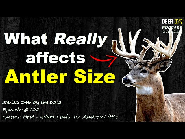 How to Field Dress a Deer with Steven Rinella – MeatEater – HuntingOfficer
