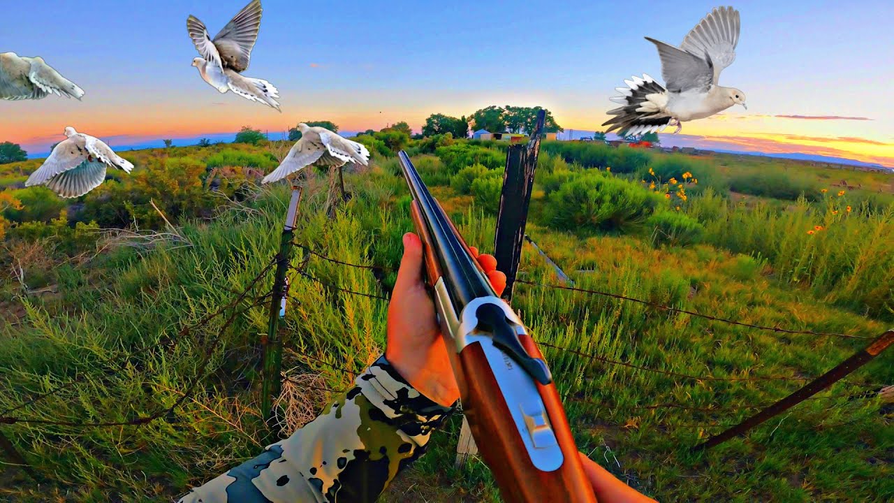 Using 3D & 3D Exaggeration For Western Big Game – HuntingOfficer