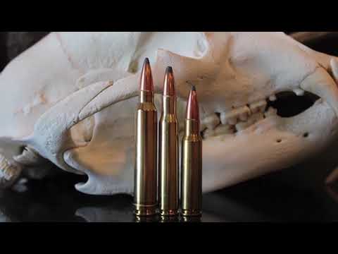 308 vs 30-06 vs 300 Win Mag: Which One Should You Hunt With In 2026 ...