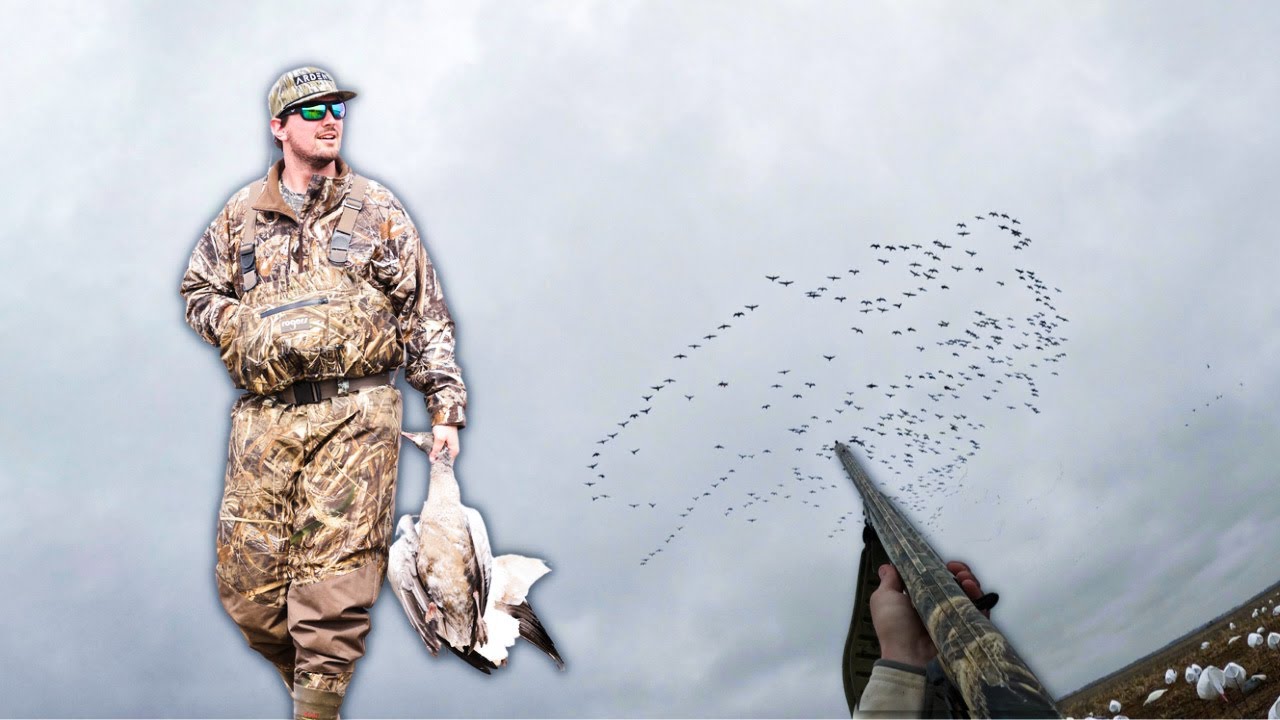 Head to Head: 7mm PRC vs. 300 PRC – HuntingOfficer