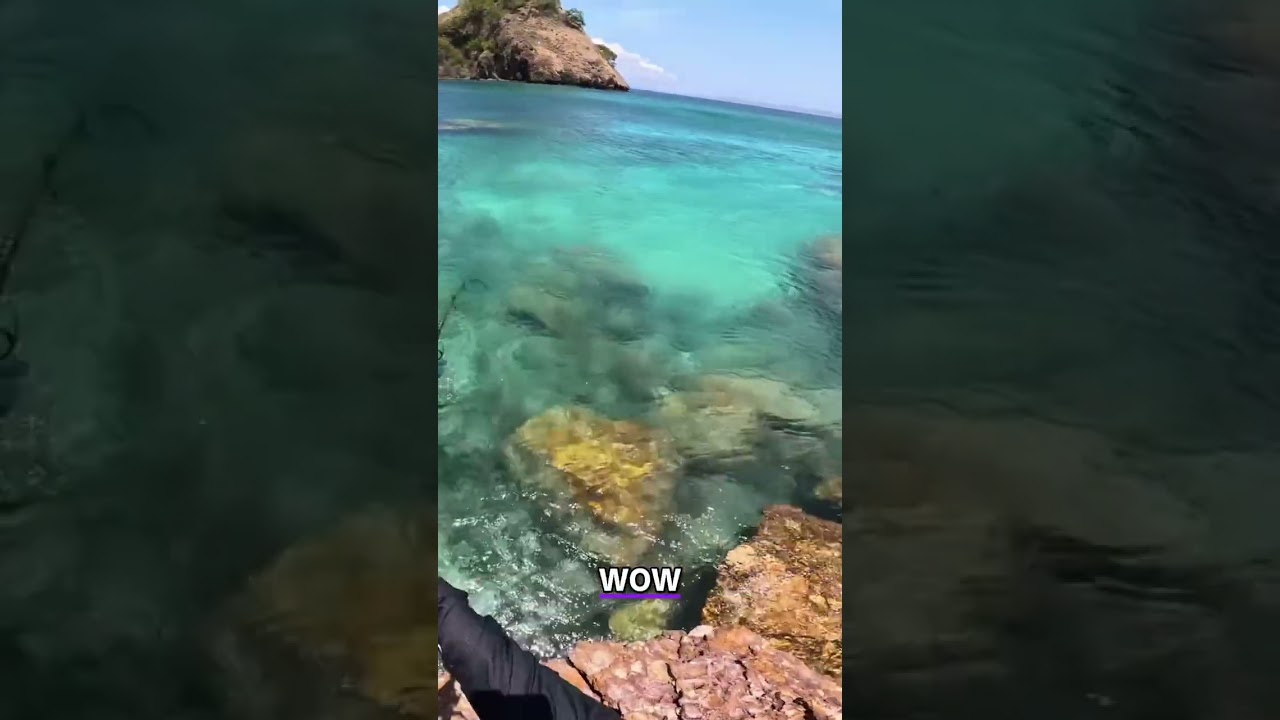 Wicked Tuna fishing almost GOES WRONG! – Lady angler battles BIG ...
