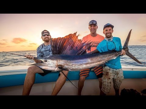 Wicked Tuna fishing almost GOES WRONG! – Lady angler battles BIG ...