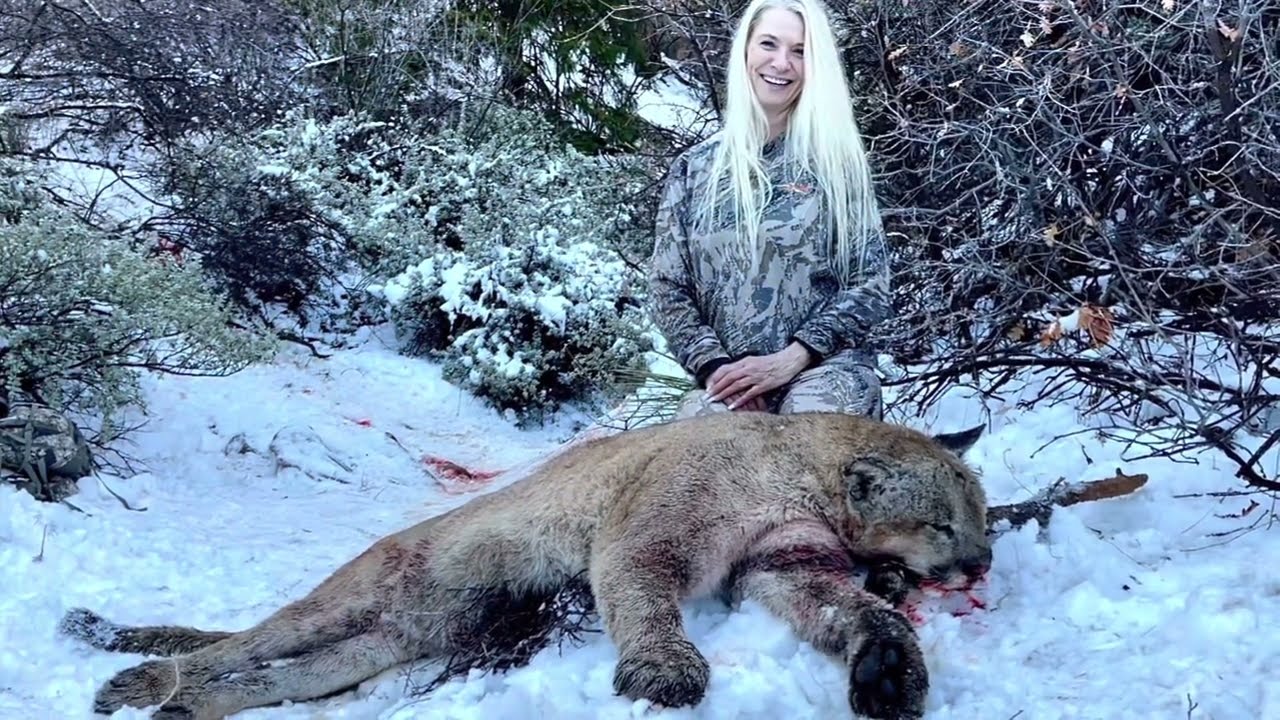 NAVAJO OUTDOORS – Navajo Nation Mountain Lion Hunt – HuntingOfficer
